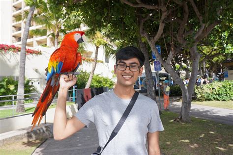 Ex Openai Engineer Who Raised Legal Concerns About The Technology He