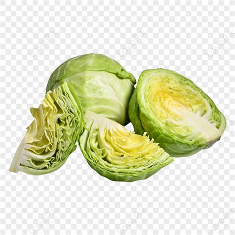신선한 영양 양배추베어낸다야채초록 Png 일러스트 무료 다운로드 Lovepik