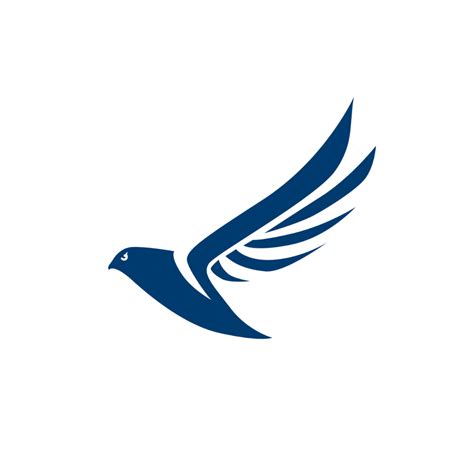 North Trail High School Nighthawks Volleyball Girls 5a 2025