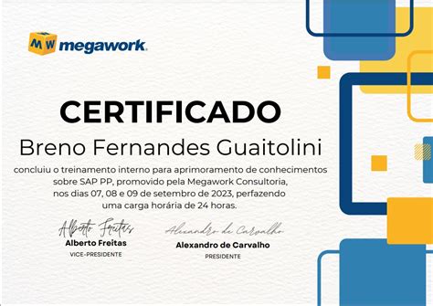 Sap Sapcommunity Sappp Saphana Sapqm Breno Guaitolini