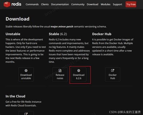 Linux安装redis（图文解说详细版）linux万物安装指南 Csdn专栏