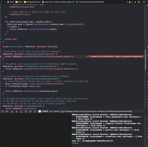 Non Ascii Character In App Name Causes Crash In [nsbundle Bundlewithidentifier ] · Issue 3951