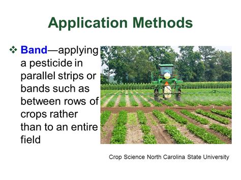 Pesticide Application Procedures Ppt Download