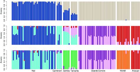 Admixture Analysis Snp Data Are Used To Estimate Individual