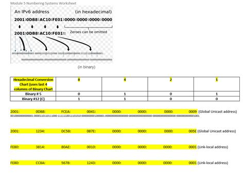 Solved Module 5 Numbering Systems Worksheet