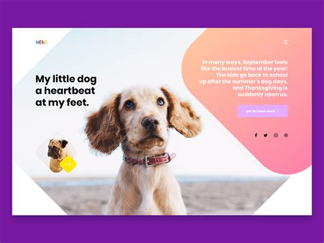 Simple And Clean Header By SPACECAKE On Dribbble