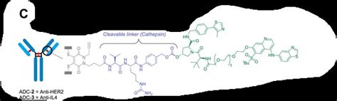 Chemical Biology Pharmace Research Laboratory Innovative Pharmaceutical Research