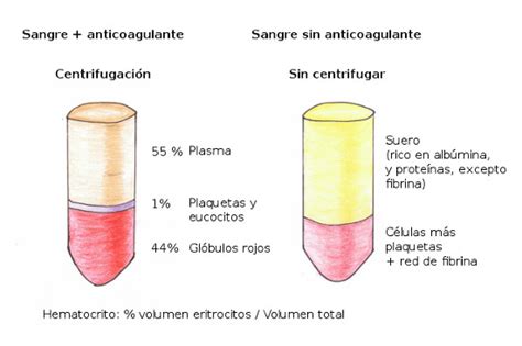 Tipos celulares Eritrocito Atlas de Histología Vegetal y Animal
