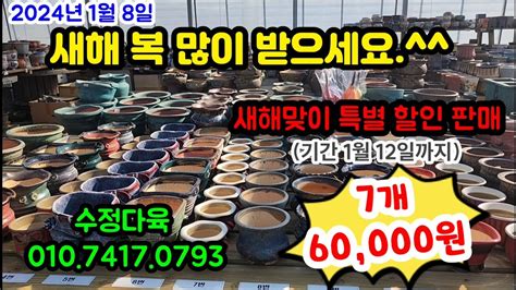 화분 판매 1월 8일 다육화분 7개 골라서 무조건 60000원 판매수정다육 01074170793 화분 도매 Youtube
