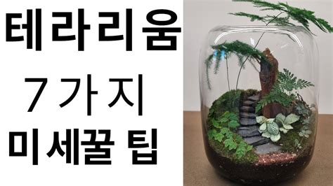 테라리움 누구나 쉽게 만들수 있다 Youtube