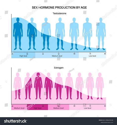 2 291 Age Level Vector Images Stock Photos Vectors Shutterstock