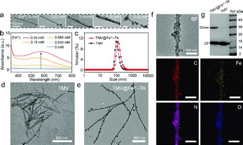 Morphological Spectral And Elemental Characterizations Of The Fe 3