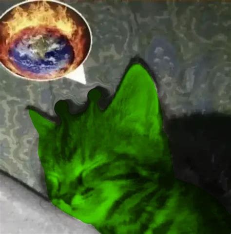 Alien Dreams Of Exploding Earth Real Silly Cats Pictures Funny Cat