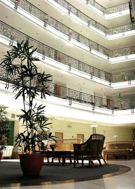 Palasia Hotel Koror — Dive Adventures