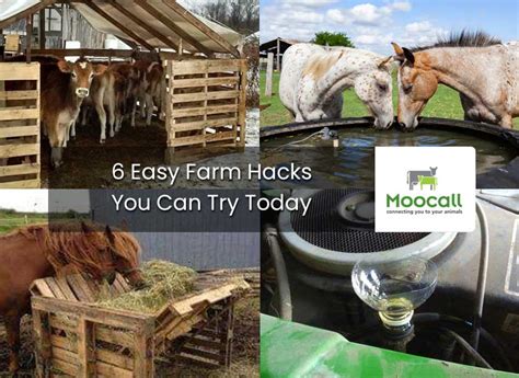 6 Easy Farm Hacks You Can Try Today