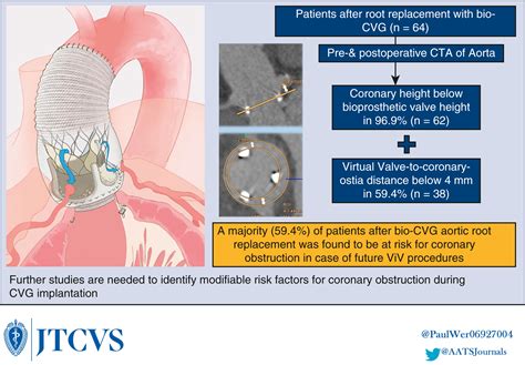 Aortic Root Geometry Following Composite Valve Graft Implantation