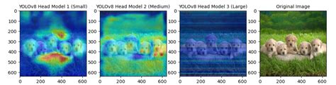How To Access The Heads Of YOLOv Model Issue Ultralytics Ultralytics GitHub