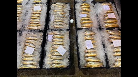 2023년 1월3일화 목포선어위판장 ⭐올해 첫 유자망 참조기 입고⭐그외 먹갈치 홍어 고등어 등 목포수협소식 Youtube