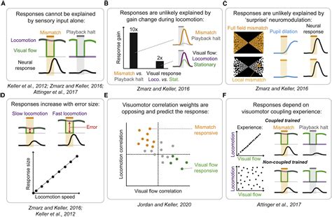 Locomotion Induced Gain Of Visual Responses Cannot Explain Visuomotor