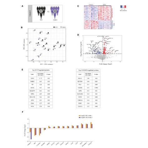 Differentially Regulated Proteins In The Csf Of Persons With Nt1 Download Scientific Diagram