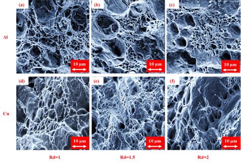 Sem Micrographs Of The Fractured Alcu Composite Fabricated With