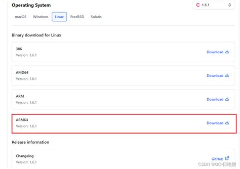 linux 安装 consul并设置开机启动 linux启动consul csdn博客