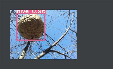 Win10 下 Pytorch Onnx Ncnn后推理结果和pytorch推理结果相差很大？ · Issue 98 · Ppogg