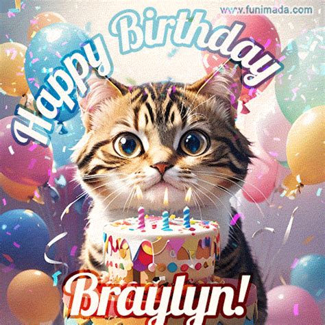 Cat Themed Happy Birthday Braylyn  Download On