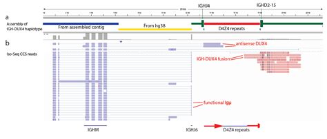 Sequencing 101 Whats The Value Of Sequencing Full Length Rna