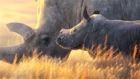 Top Nuke Projects Using The Power Of Node Based Compositing Tools