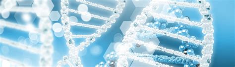 Gene Expression Platform Selection Guide Biocompare The Buyers Guide For Life Scientists