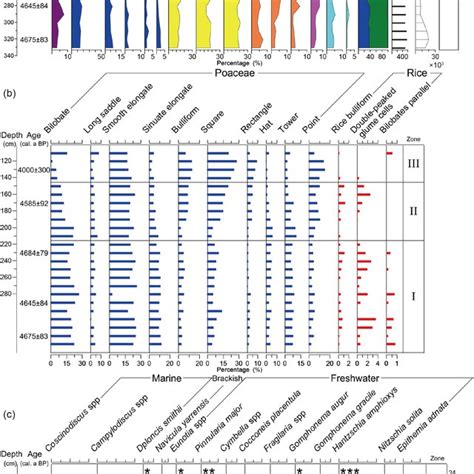 Selected Microfossil Percentage Diagrams Of Pollen A Phytoliths B