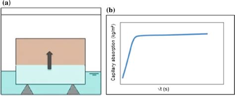 A Capillarity Absorption Test And B Typical Capillary Absorption Curve