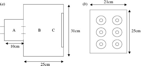 Figure 17 1 From Non Associative Learning Habituation And Sensitization Associative Learning