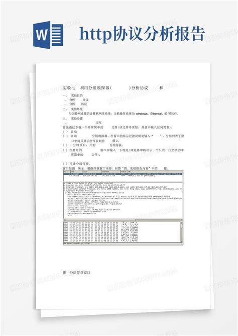 网络实验 分析 dns协议word模板下载 编号lmaomodn 熊猫办公