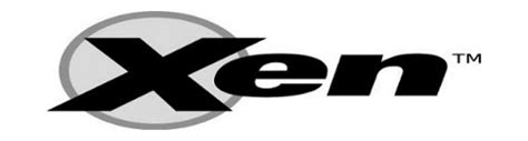 xen hypervisor 4 11 amd64 autoconfig install windows server 2019