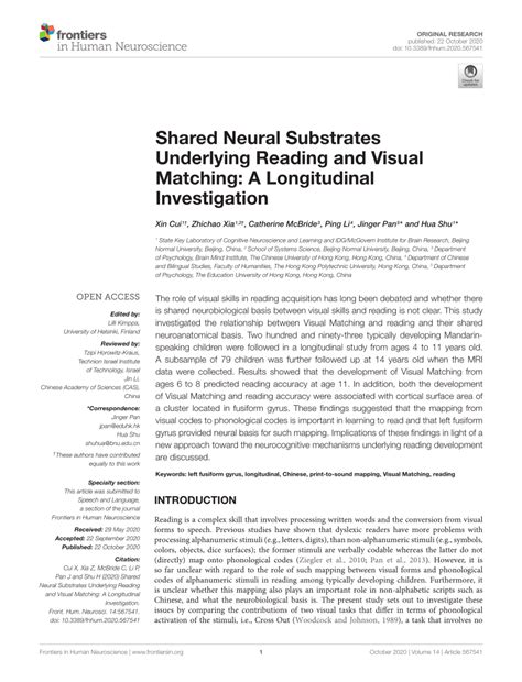 Pdf Shared Neural Substrates Underlying Reading And Visual Matching A Longitudinal Investigation