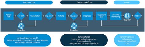 Frontiers The Use Of The Integrated Cognitive Assessment To Improve The Efficiency Of Primary
