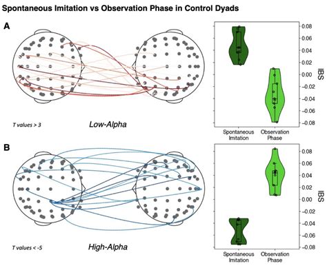 Significant Inter Brain Synchrony Differences Between Spontaneous