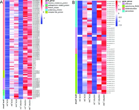 Heatmaps Of The Overlapping Differentially Expressed Genes Degs