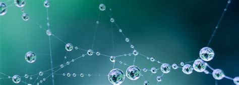 Diagnostic Stewardship And Testing For Infectious Diseases Abbott