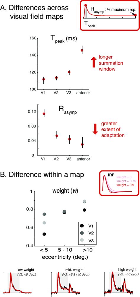 The Dn Model Captures Difference Of Temporal Dynamics At Different