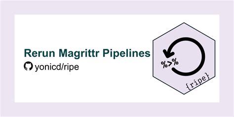 github yonicd ripe rerun {magrittr} pipelines