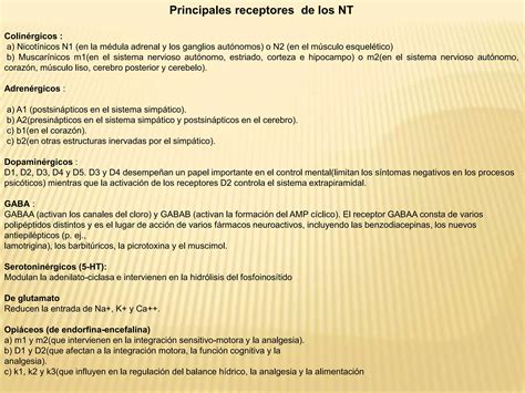 Neuronas Y Neurotransmisores Pptx Brain And Nervous System
