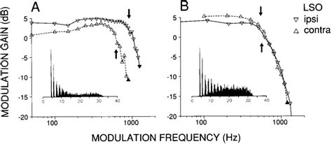 Modulation Transfer Functions To Ipsi And Contralateral Modulation For Download Scientific