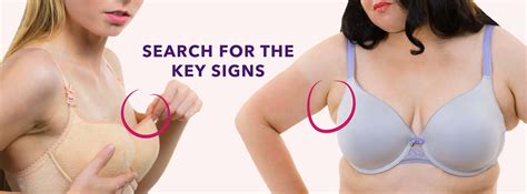 5 Expert Tips: How to Find the Right Bra? - Neubodi