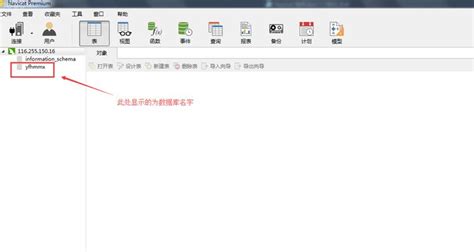 第三方数据库管理工具navicat使用教程 鼎峰bruce 博客园
