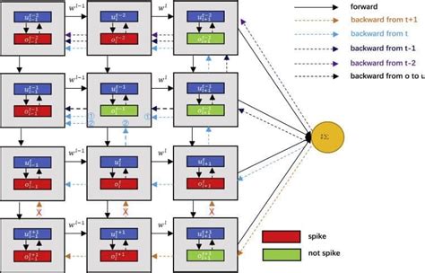 Biologically Plausible Spatiotemporal Adjustment Helps Train Deep