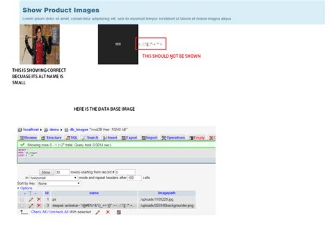 Php Issue While Outputting The Image In Code Igniter Stack Overflow