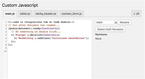 Custom Css And Javascript Developer Edition Wp Zone